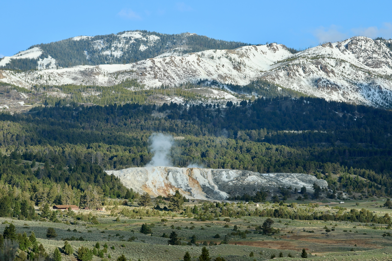 Yellowstone 2025 May 7 – A Cup of Brouhaha
